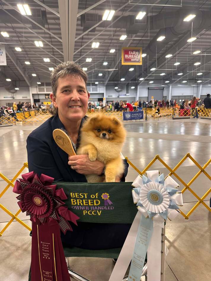 Club Member Highlight~ Tonic and Sonya – Pomeranian Club of Central ...